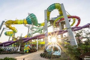Adventure Island - Tampa Attractions